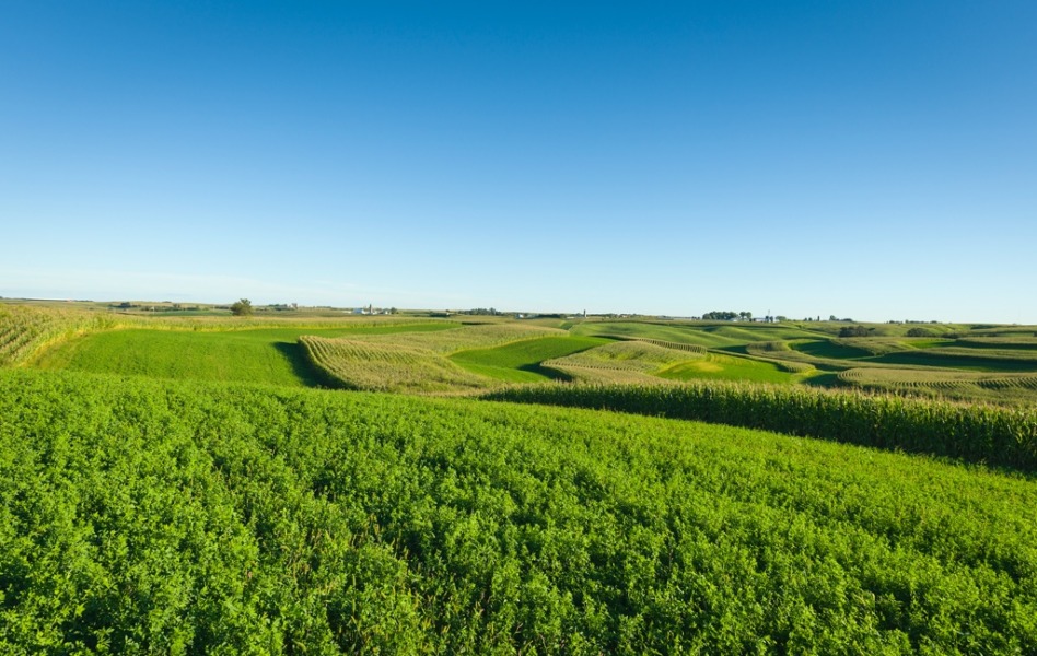 The Benefits of Crop Rotation and Diversity – U.S. Farmers & Ranchers ...